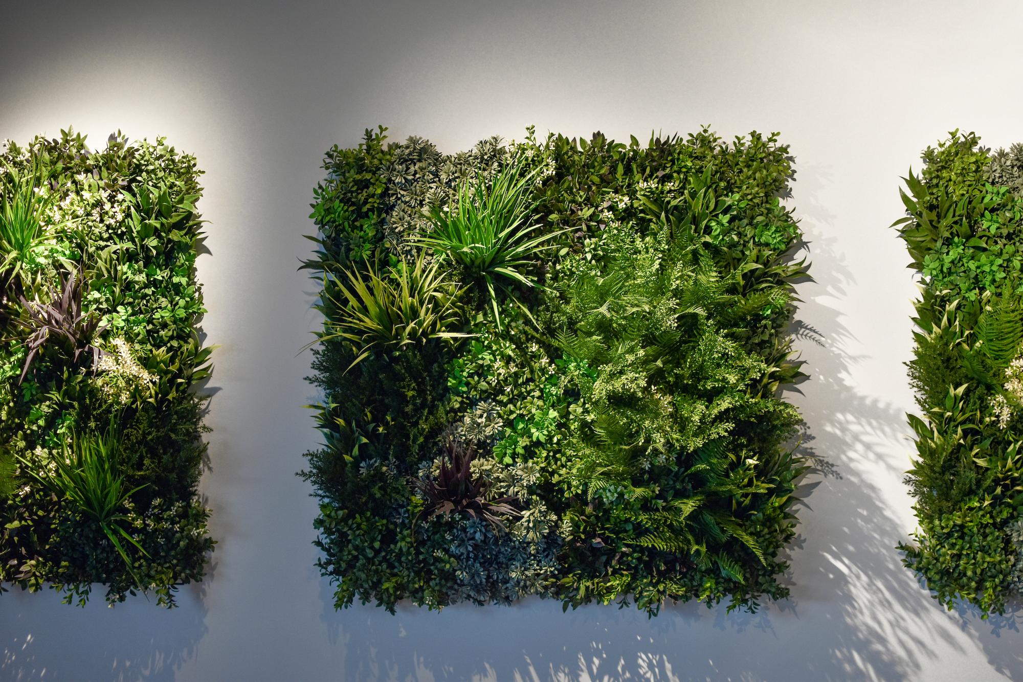 La Table du Royal Snail – The Royal Snail